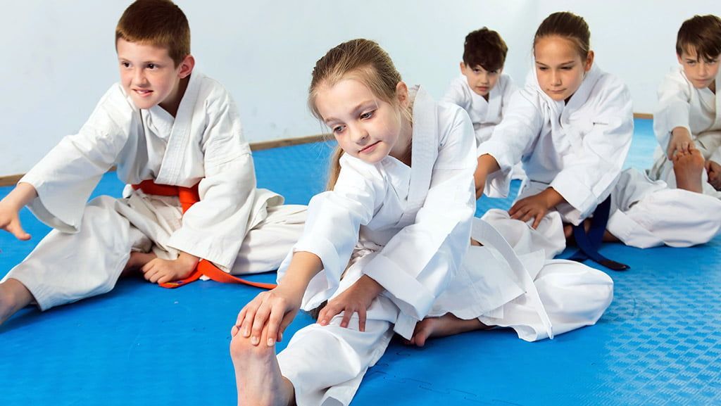 What is Karate? · Warrior Code